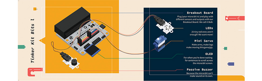 Explore the World of Electronics and Coding with the micro bit Tinker ...